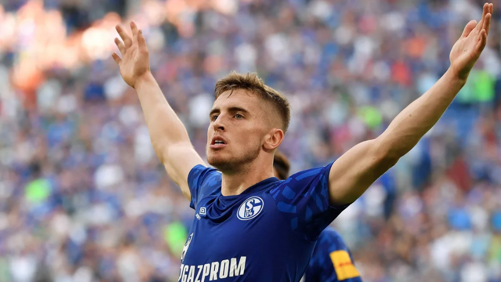 Λιοντάρι έξω απ’ το κλουβί! | SDNA